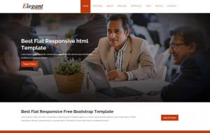 Elegant Bootstrap Responsive Template Free Download