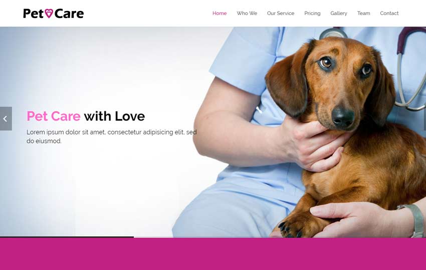 Pet Clinic Website Templates Free Download